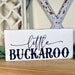 Little Buckaroo Western Nursery Wood Sign, Cowboy Rodeo Baby Wall Art ...