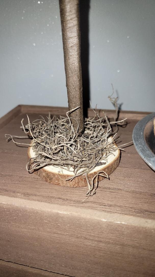 Goose Feather Tree - Etsy