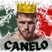 Canelo Png - Etsy