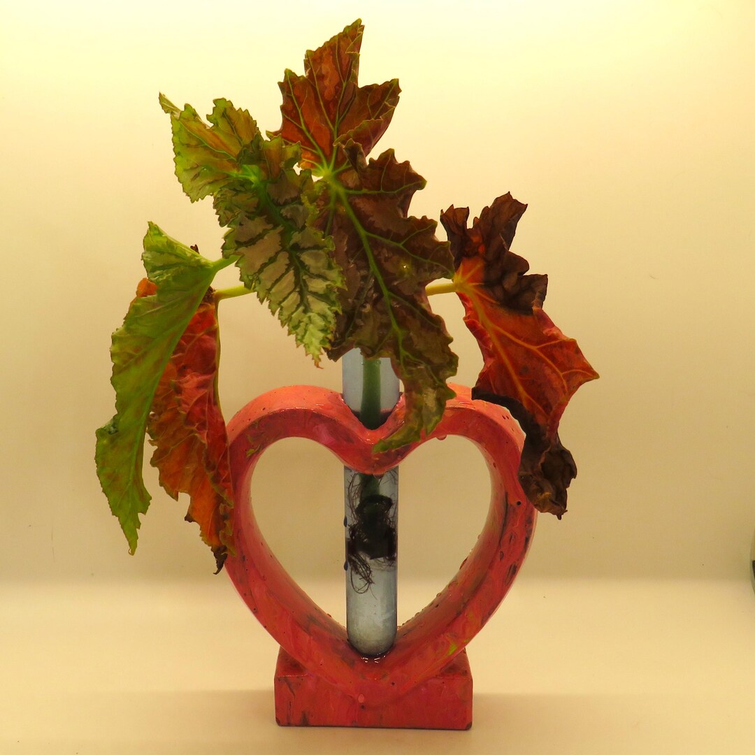 Hand-painted Cement Heart Plant Test Tube Vase | Rooting Tube Holder ...