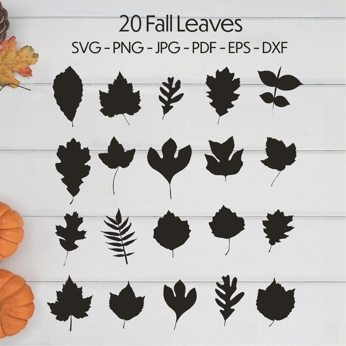 Hello Fall SVG, Autumn SVG Bundle for Cricut - Etsy
