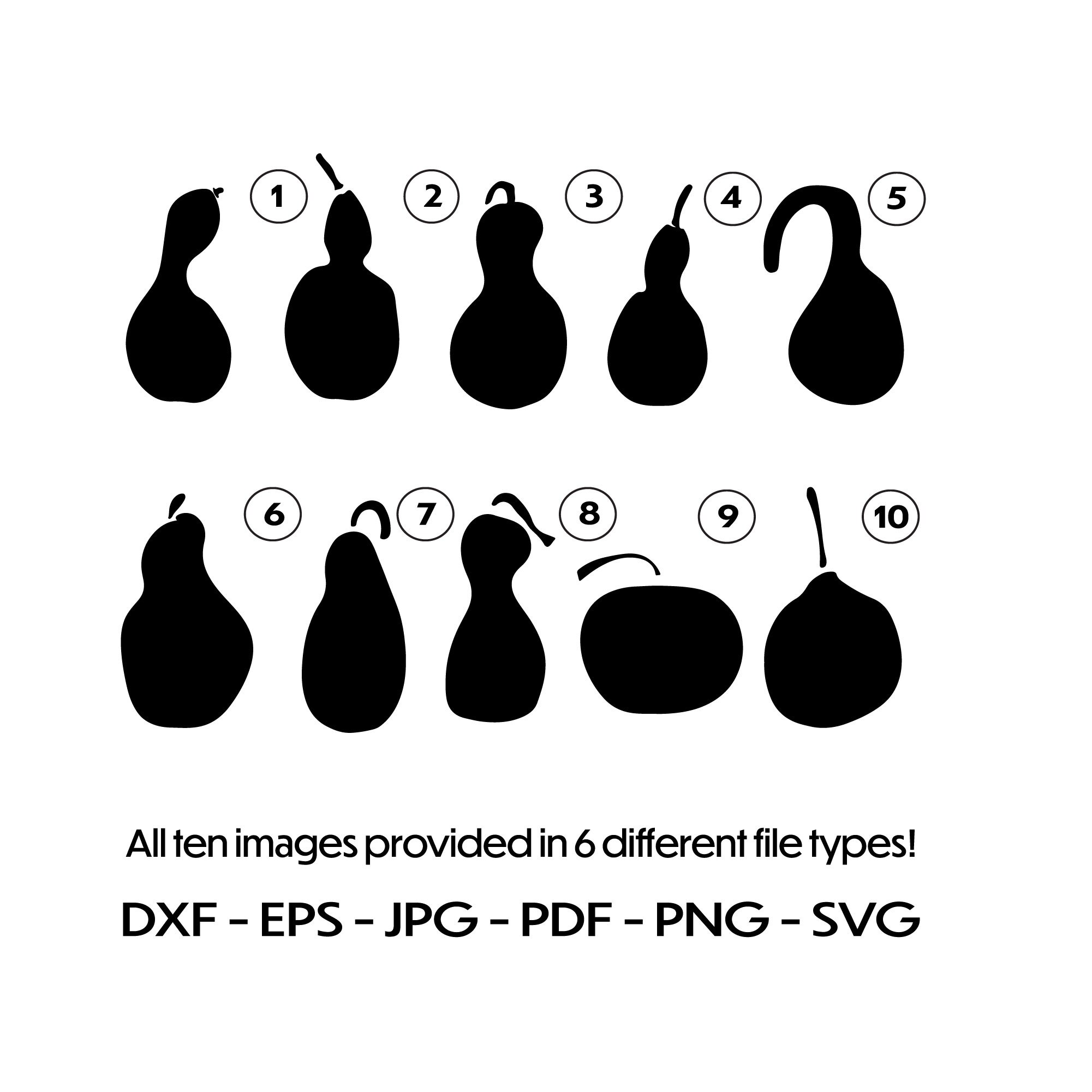 Gourd Art Autumn SVG Fall SVG Bundle Oh My Gourd All - Etsy