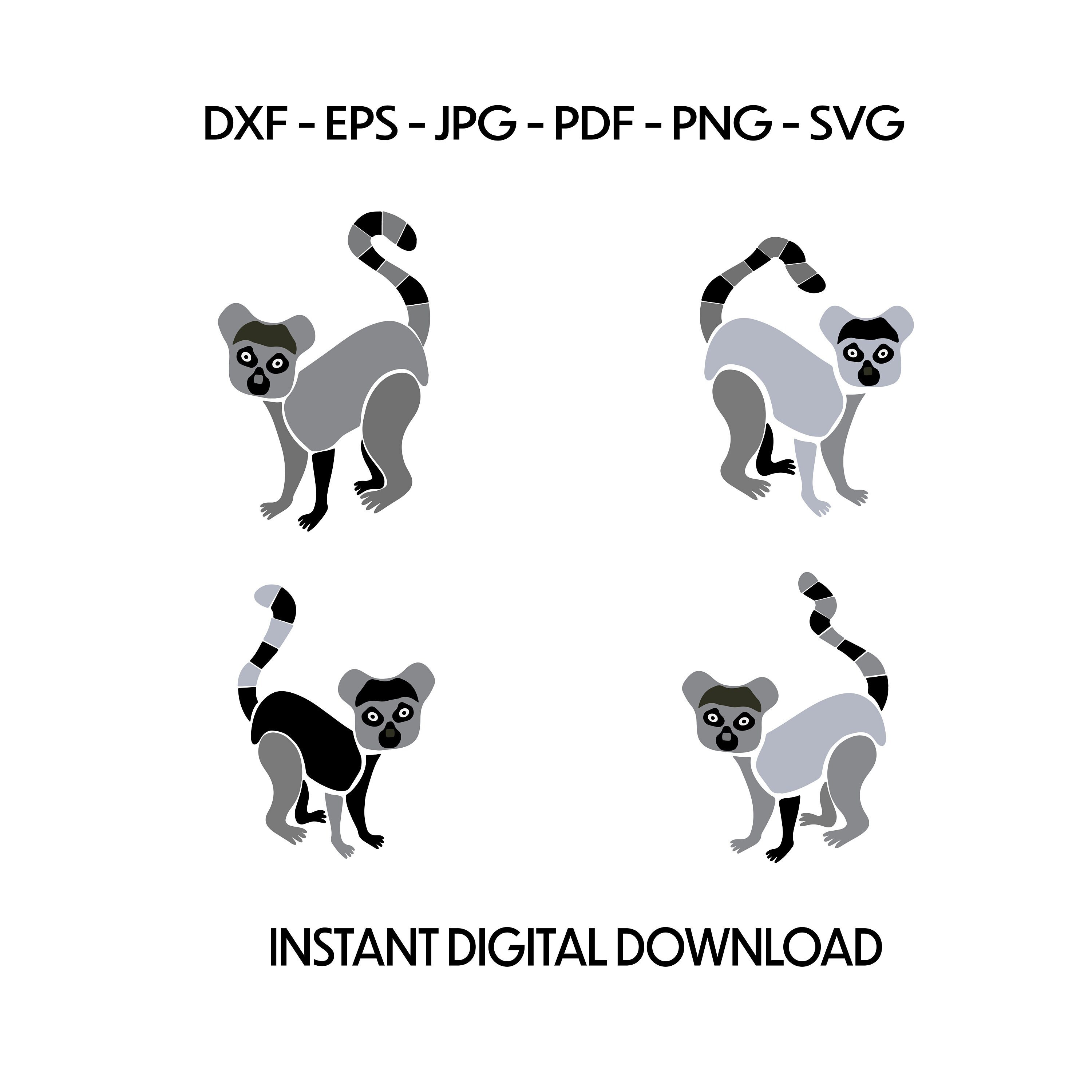 Lemur SVG Clipart Files for Instant Digital Download - Etsy