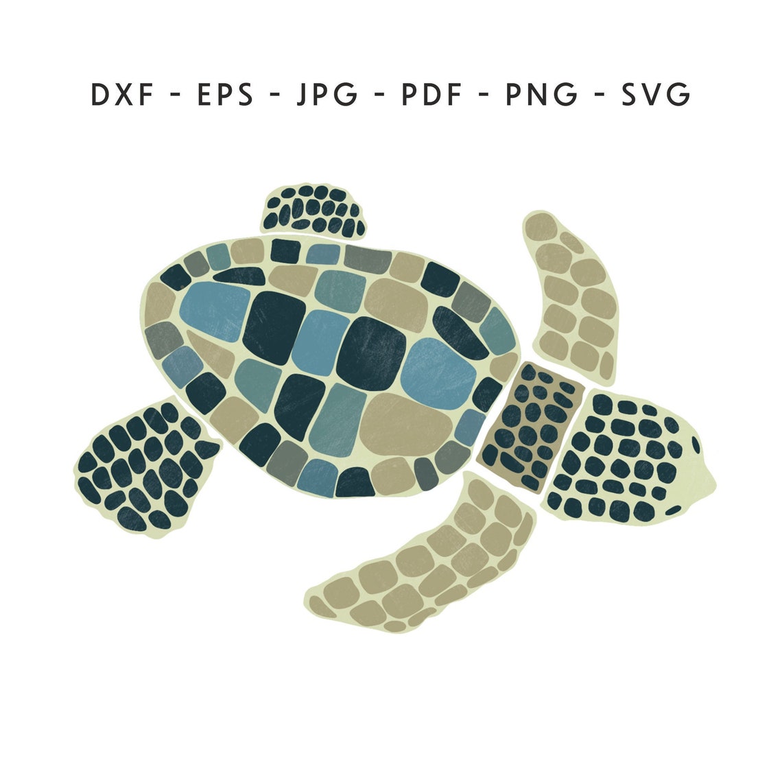 Sea Turtle SVG, Swimming Turtle Premium Vector Clipart, Instant Digital ...