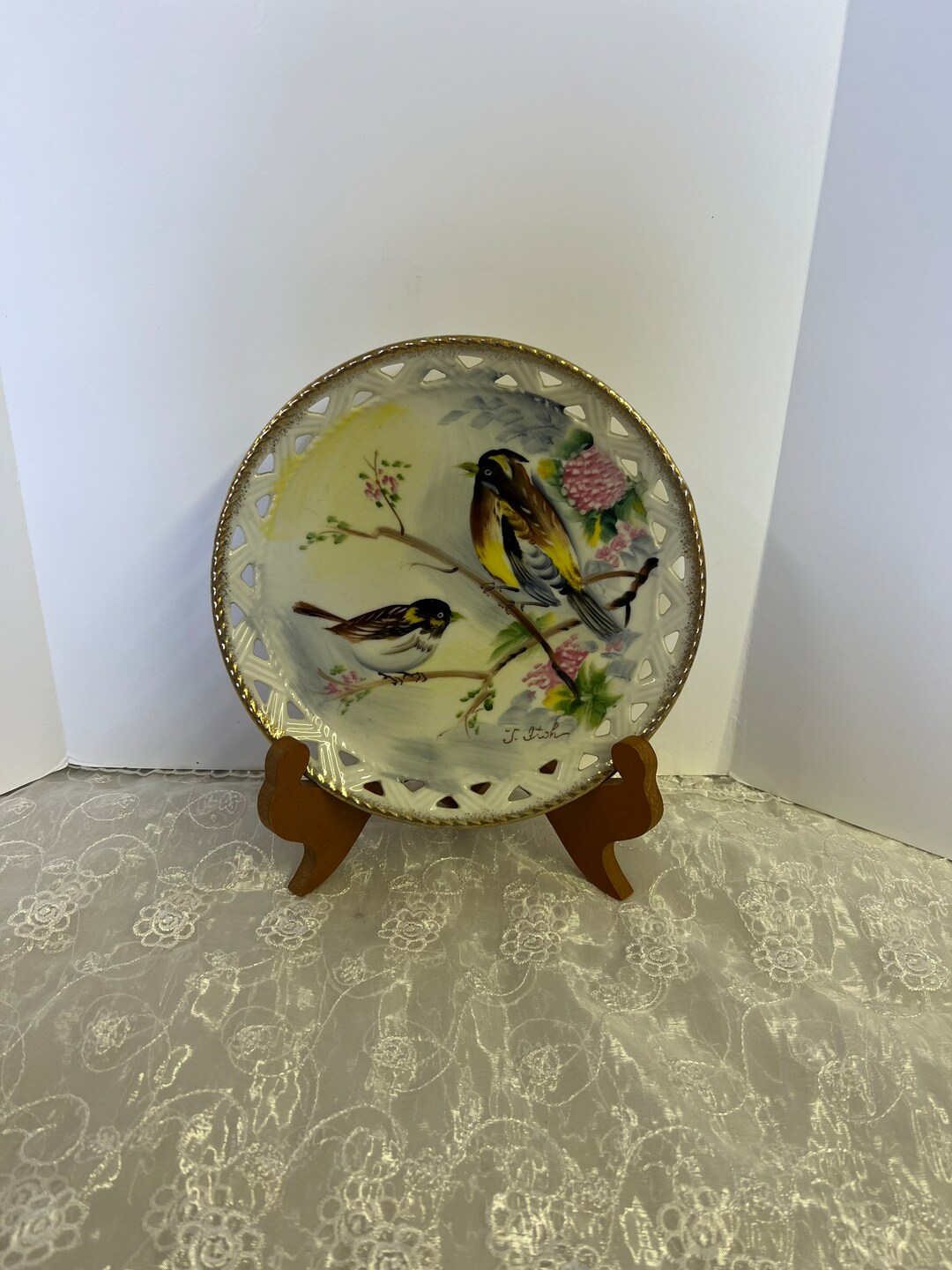 Vintage Hand-painted Bird Theme Plate 8 Collectors Bird Plate - Etsy