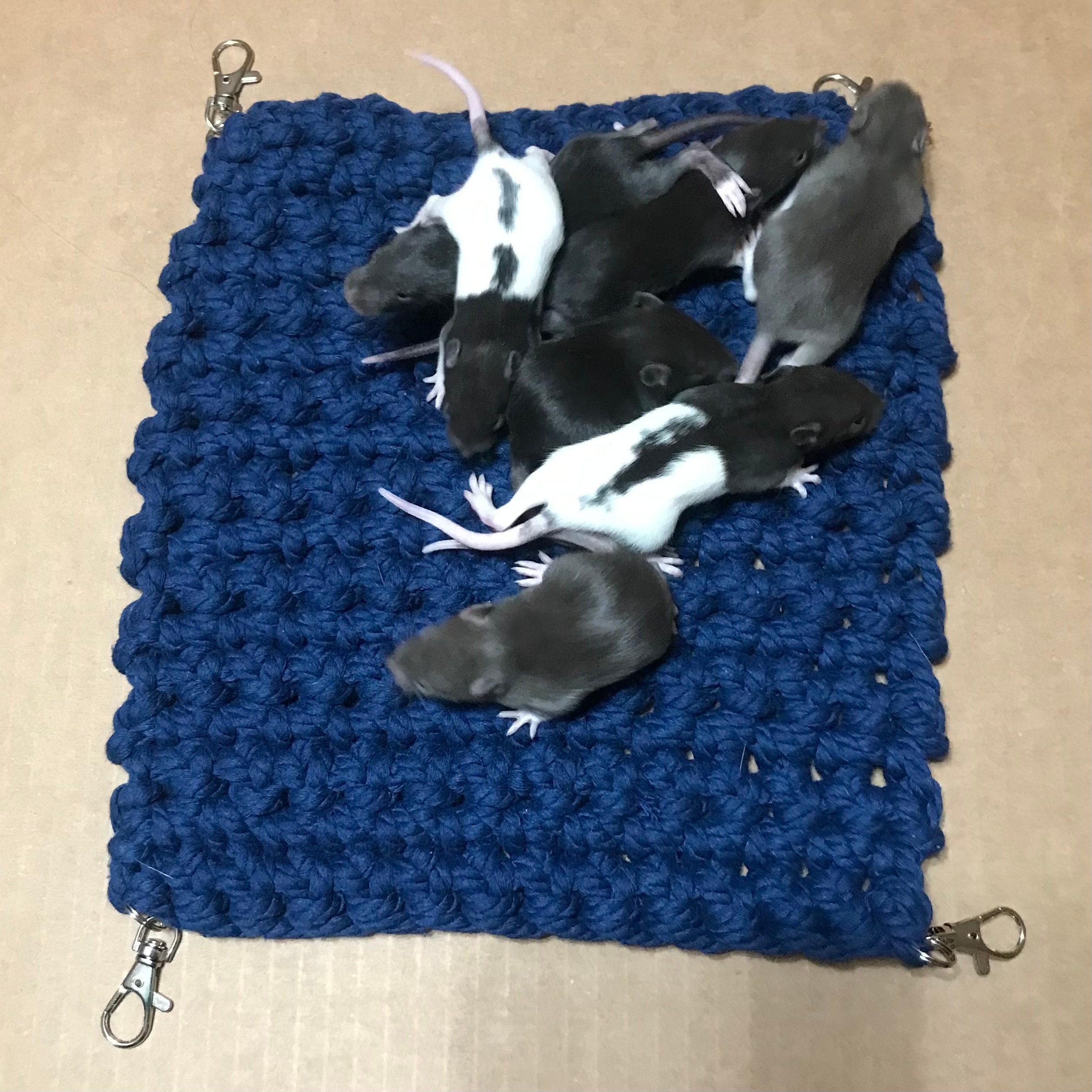 Crochet Rat Hammock - Etsy