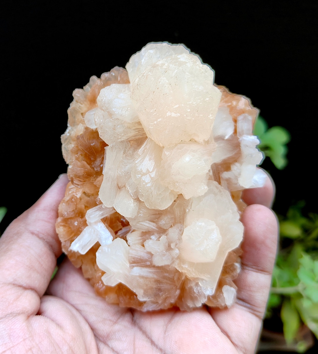 Natural Bow Ties Stilbite With Orange Heulandite Crystals Mineral ...