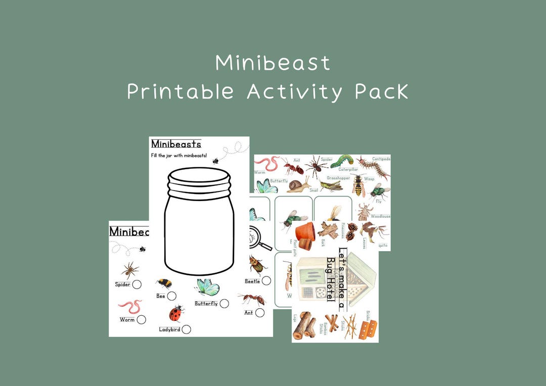 Minibeasts Flashcards, Minibeast Activity Pack, Nature Activities ...