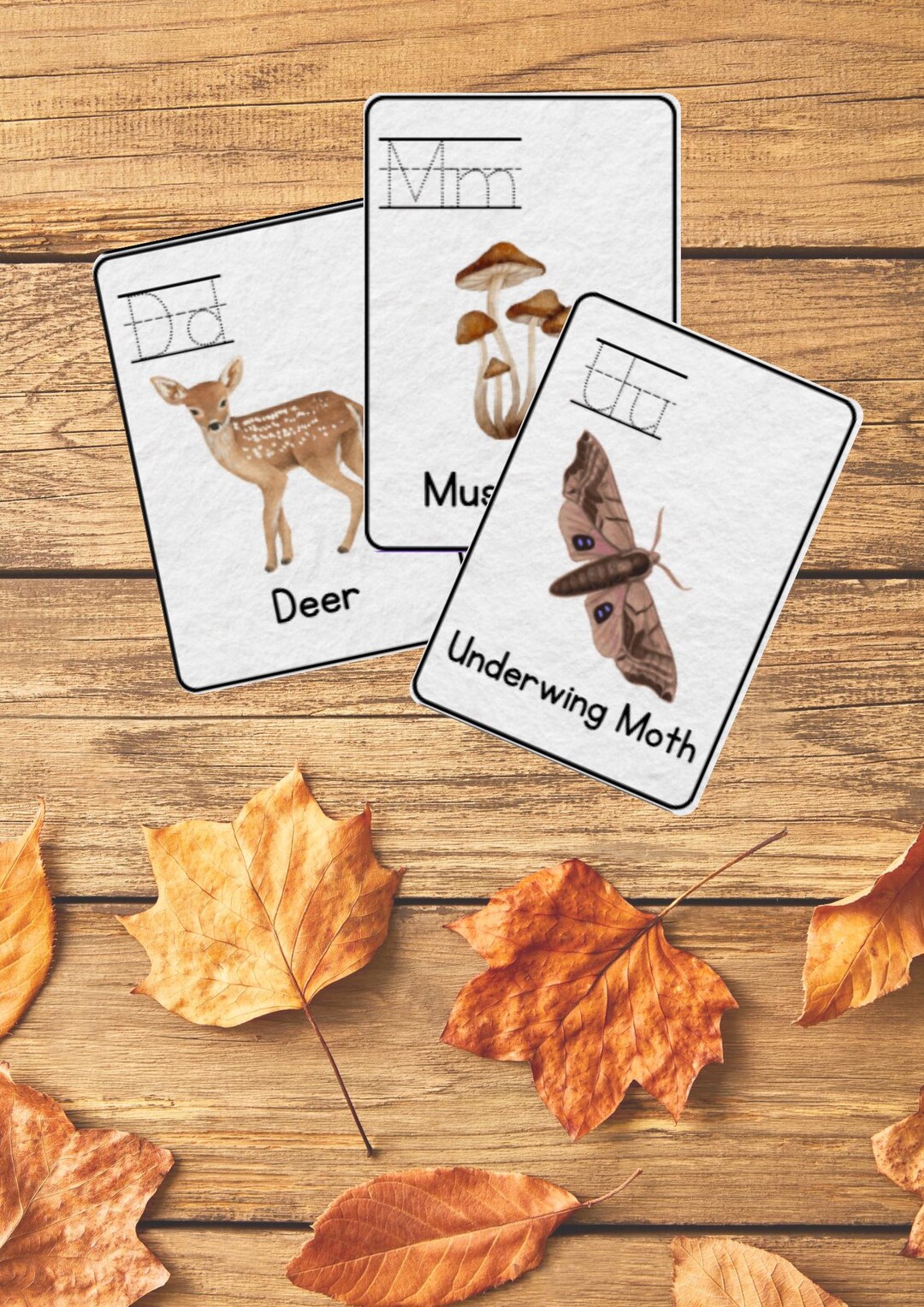 Woodland Alphabet Flashcards: Nature-themed Learning (digital Download ...
