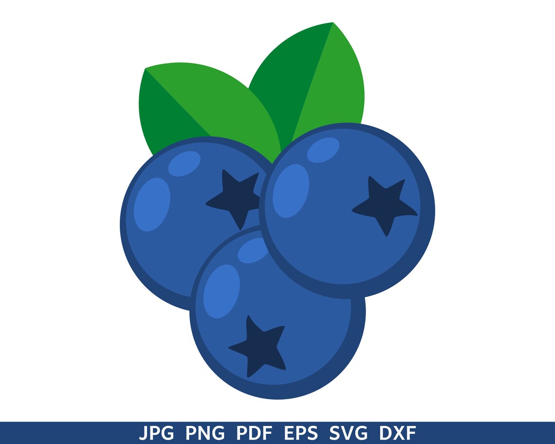 Blueberries SVG Cricut and Silhouette Compatible - Etsy