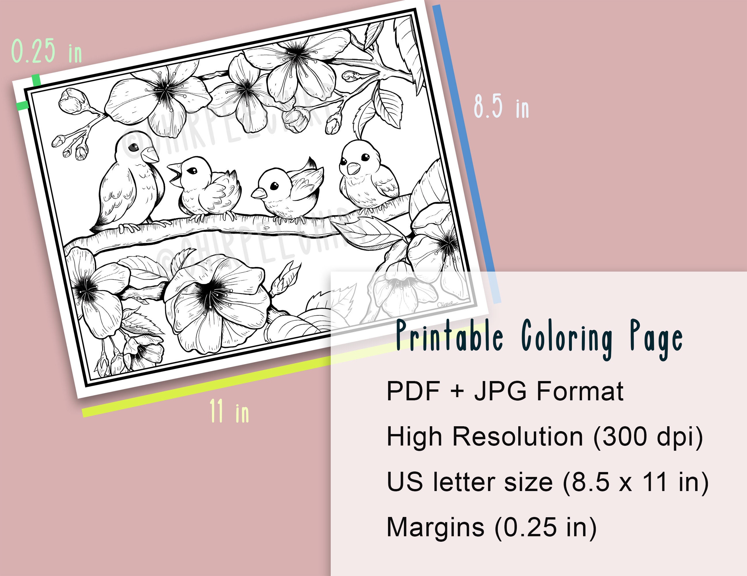 Birds With Cherry Blossoms | Printable Coloring Page | Instant Download ...