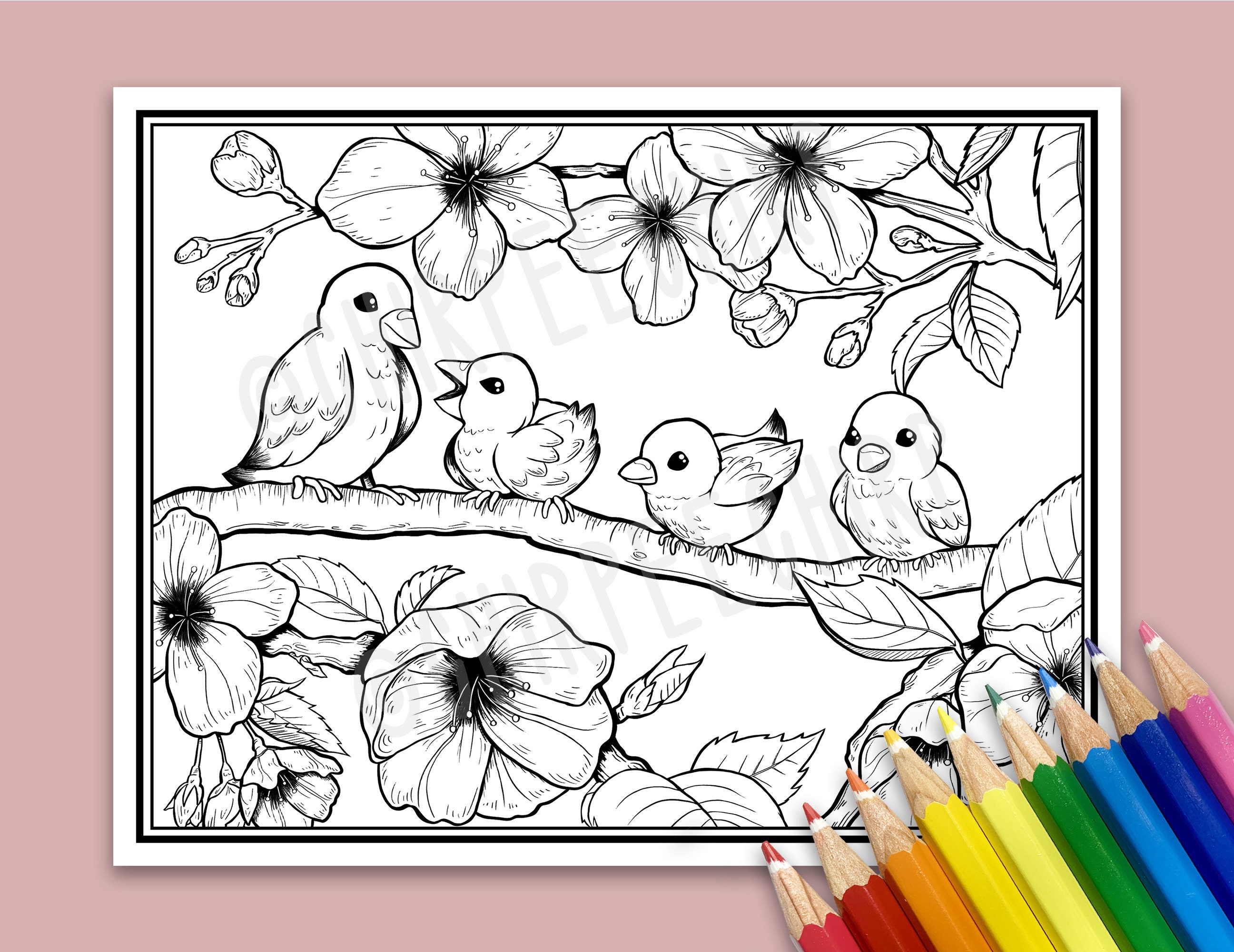 Birds With Cherry Blossoms | Printable Coloring Page | Instant Download ...