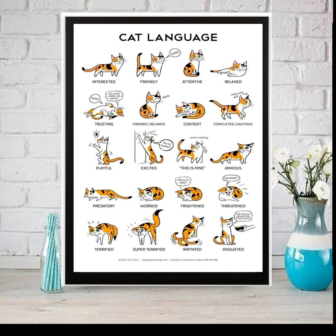 Cat Language Cat-poster, Black Cat Wall Art Black Cat Print -black Cat ...