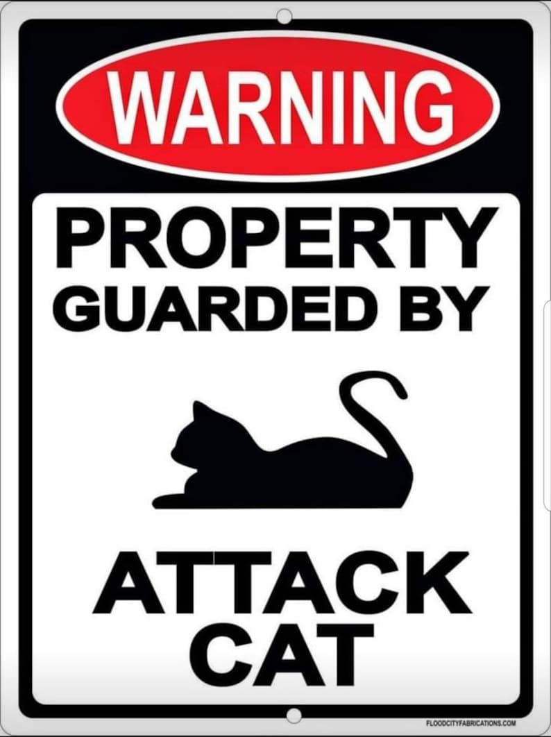 You Work I Watch and Judge Cat-poster Black Cat Wall Art - Etsy UK