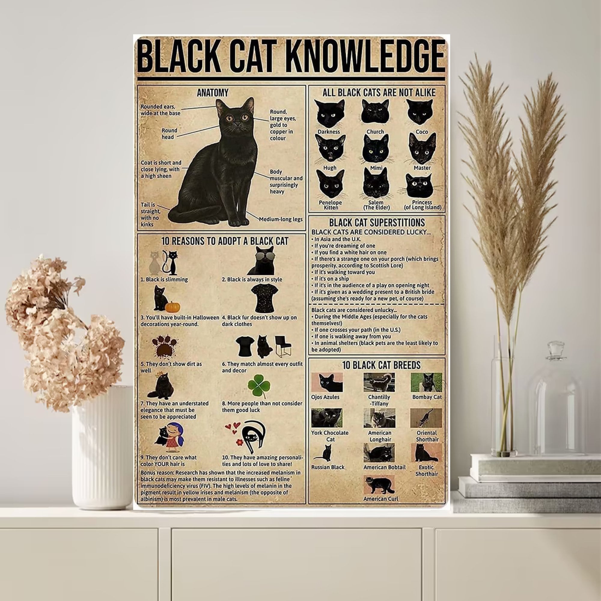 Cat Knowledge poster Black Cat Wall Art Black Cat Print - Etsy UK
