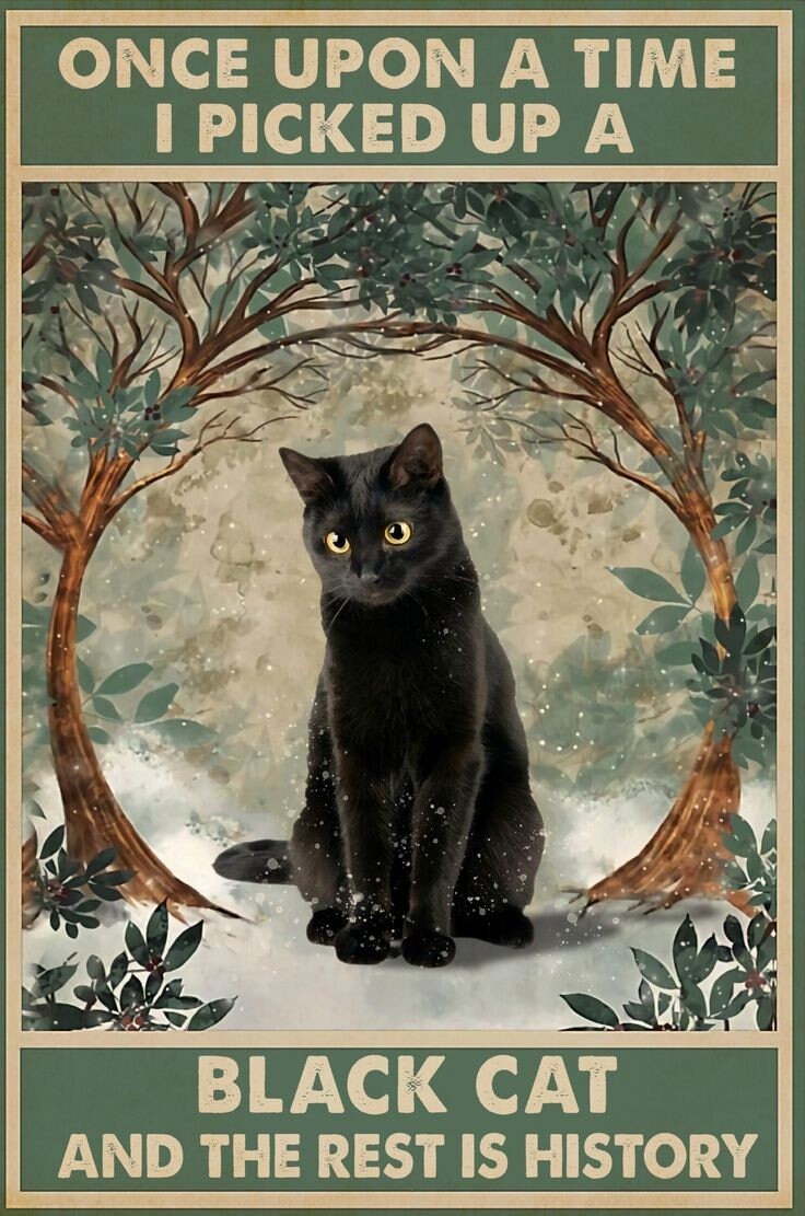 Once a Upon a Time I Picked up Cat, Cat-poster , Black Cat Wall Art ...