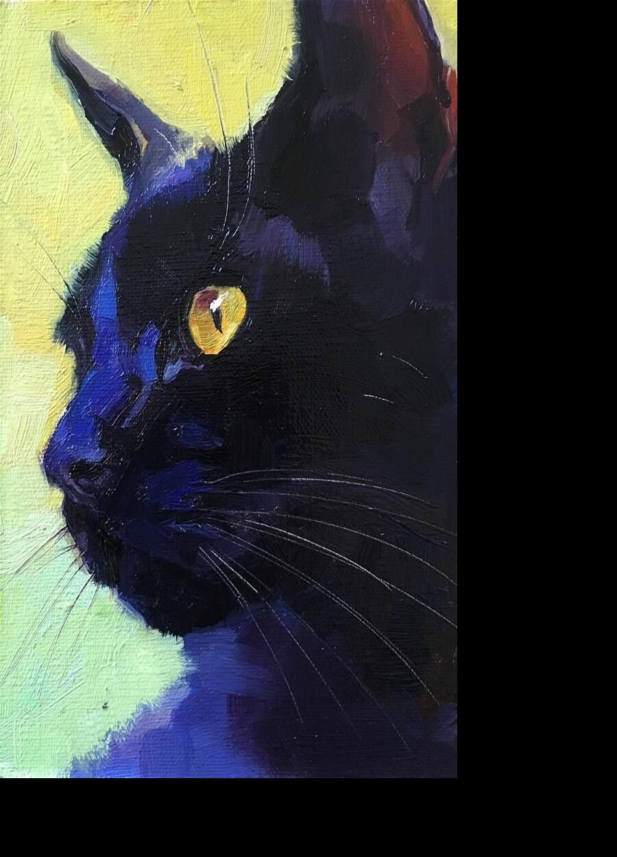 Black Cat Portrait Black Cat Wall Art Black Cat Print - Etsy