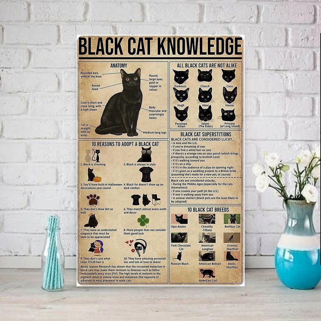 Cat Knowledge -poster , Black Cat Wall Art - Black Cat Print -black Cat ...