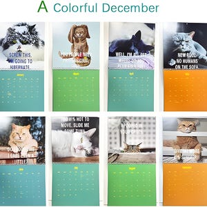 2025 Pissed of Cats Wall Calendar, Cat Calander,cat Wall Calander ...