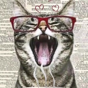 Laughing Tabby Cat With Cup of Coffee Poster ,tabby Cat Wall Art ...