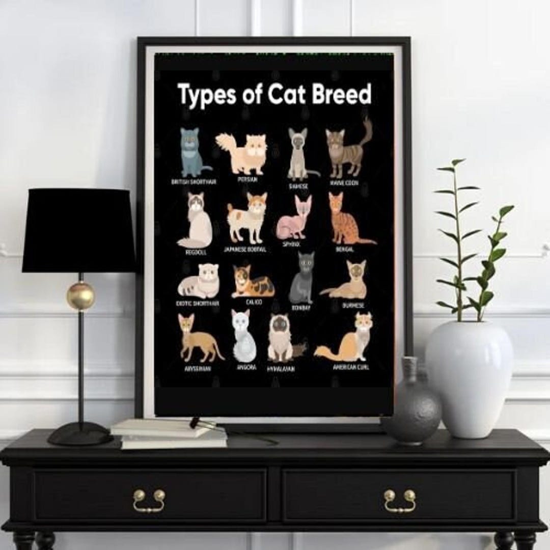 Types of Cat Breeds Poster . Cat-poster , Tabby Cat Wall Art - Tabby ...