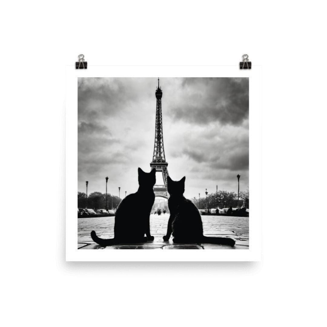 Chats à Paris scène de rue de Paris Tour Eiffel Art de chat - Etsy France
