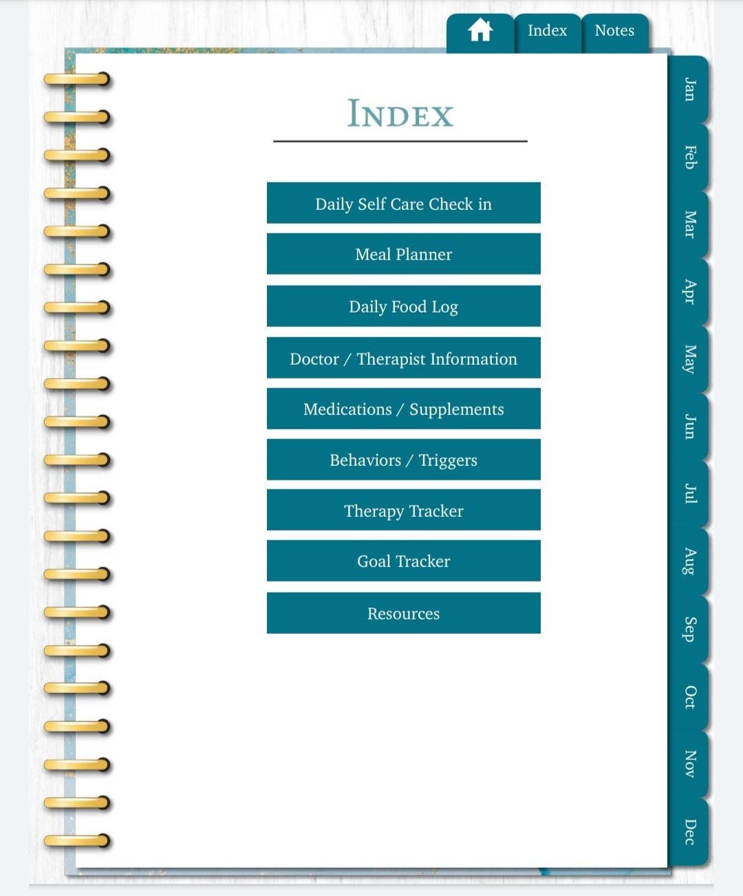 Special Needs Planner, Health Tracker, Medical Binder, Autism Binder ...