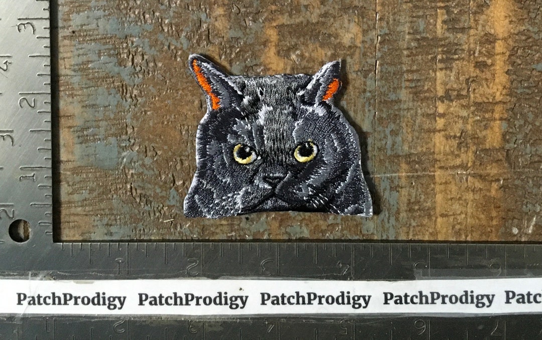 GRUMPY CAT Kitten Peeking Pet Animal Kitty Feline Cute Pocket ...