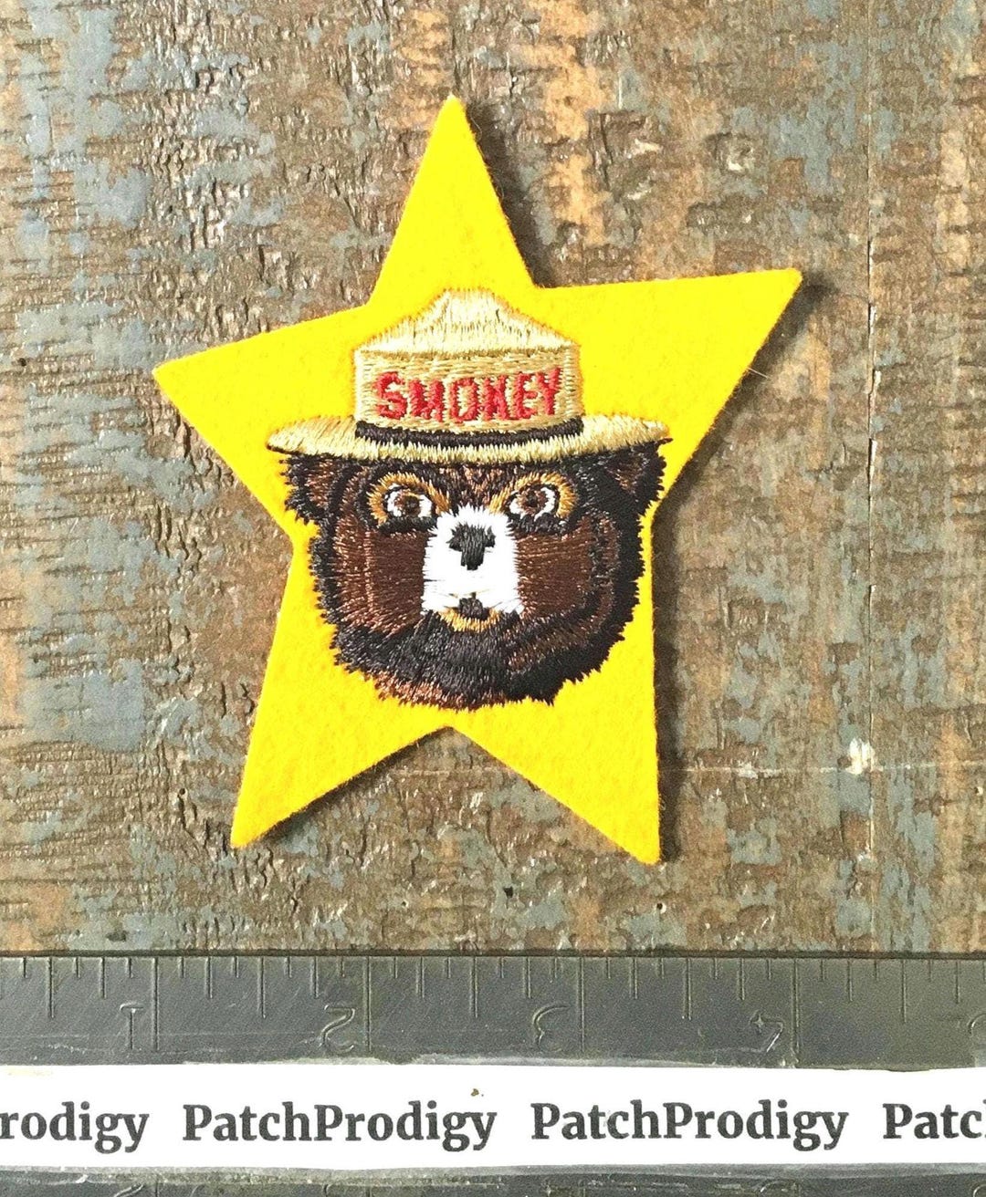 Vintage SMOKEY THE BEAR Prevent Forest Fires Wildfires Smokey's Head ...