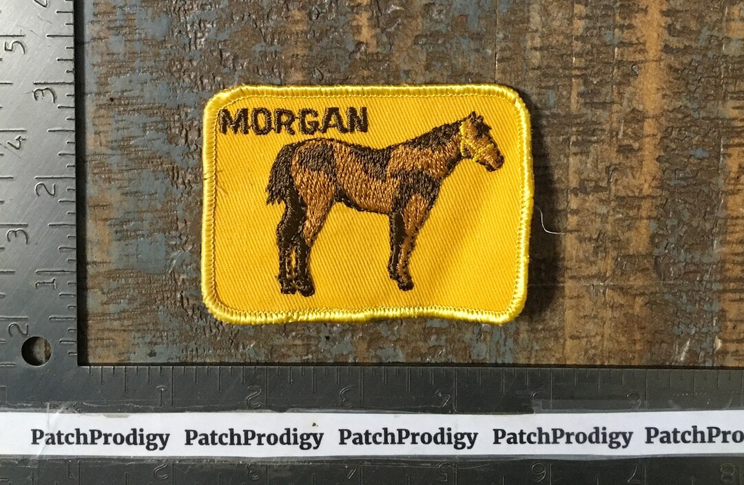 Vintage MORGAN Horse Breed Pet Farm Animal Horses Embroidered Sew-on ...