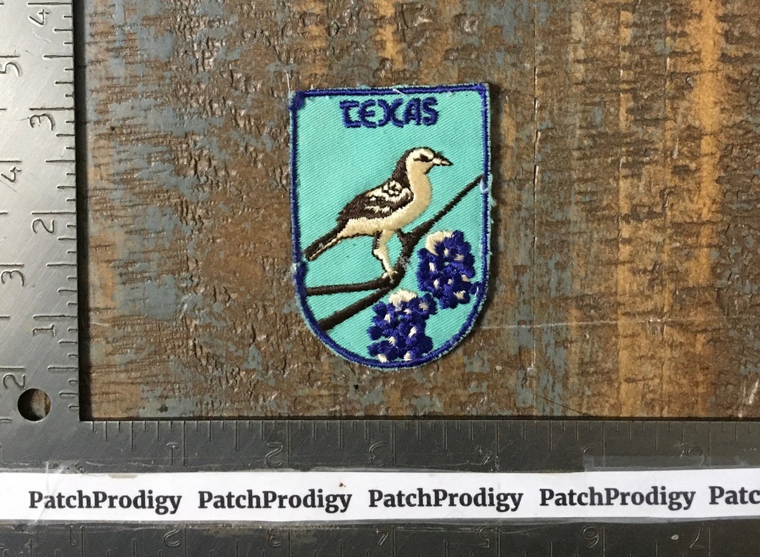 Vintage Texas State Bird Flower Mockingbird Bluebonnet Travel Souvenir ...