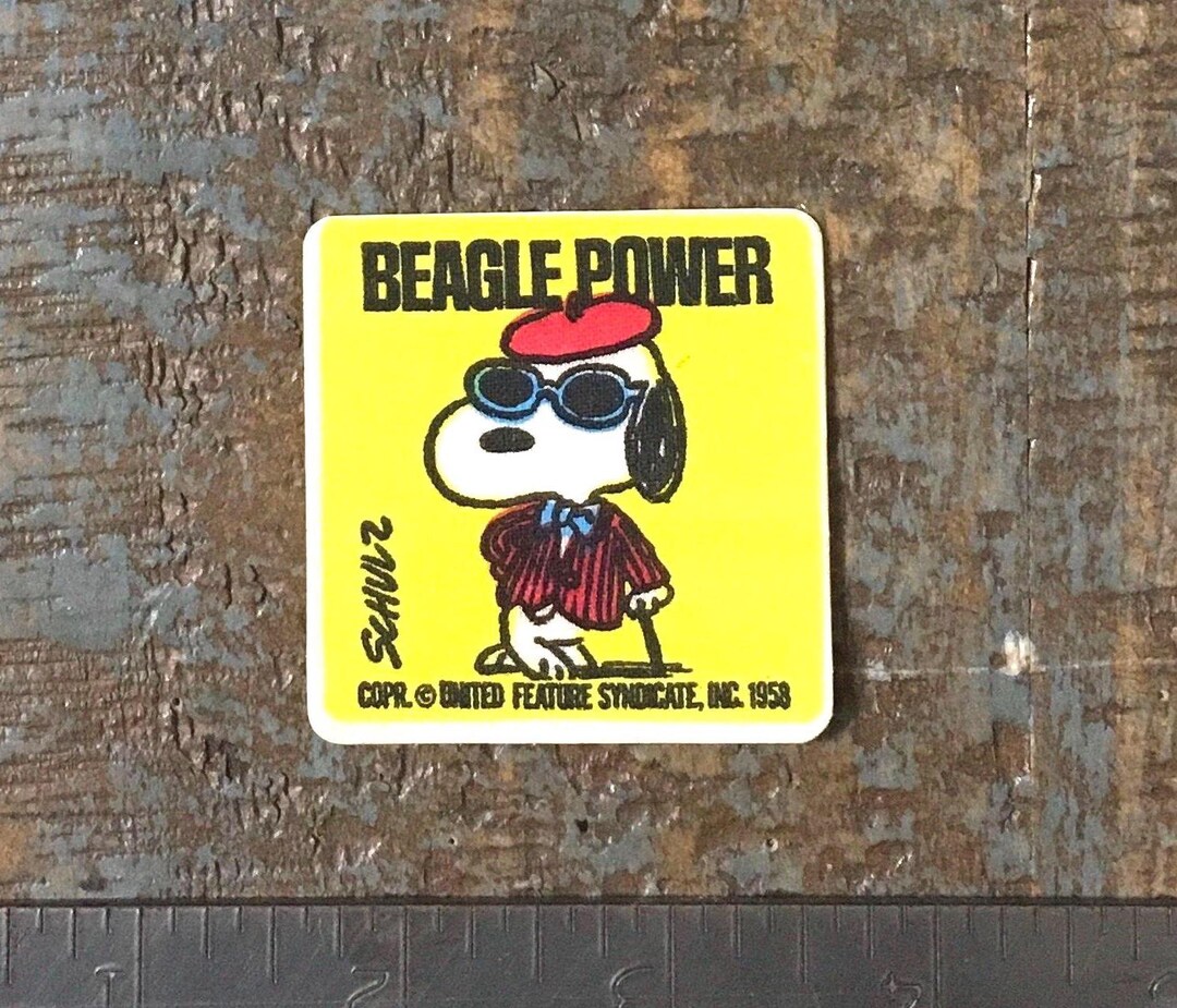 Vintage SNOOPY Beagle Power Suit Hat Cane Sunglasses Charlie Brown ...