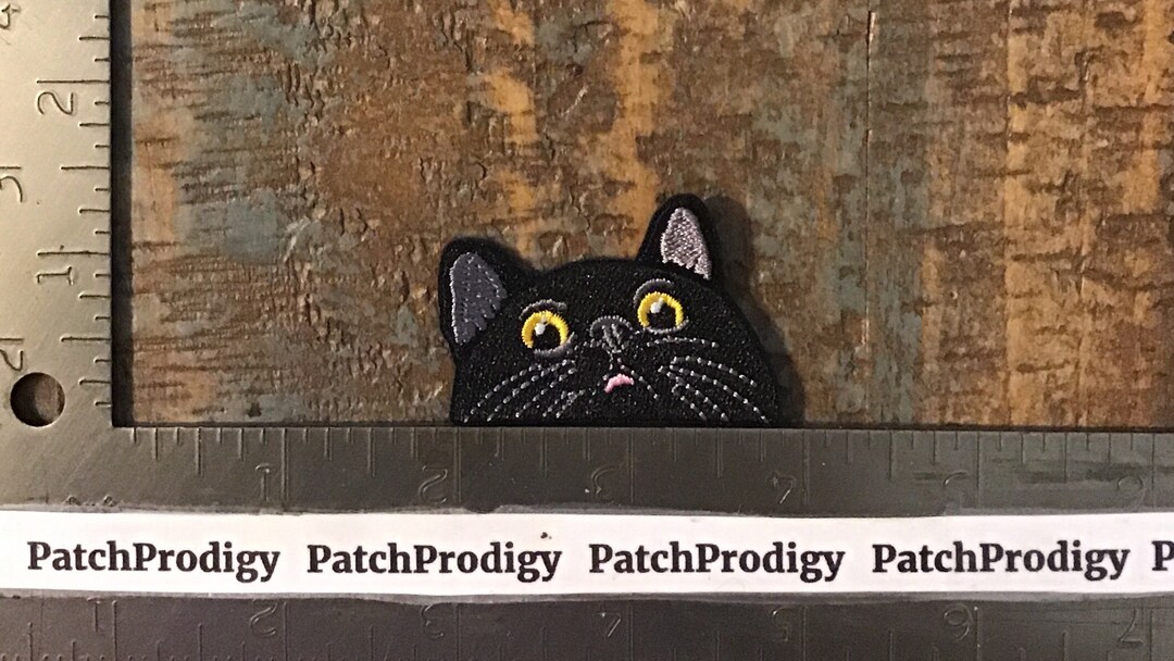 PEEKING CAT Cute Black Cat Kitten Pet Animal Feline Kitty Cat ...