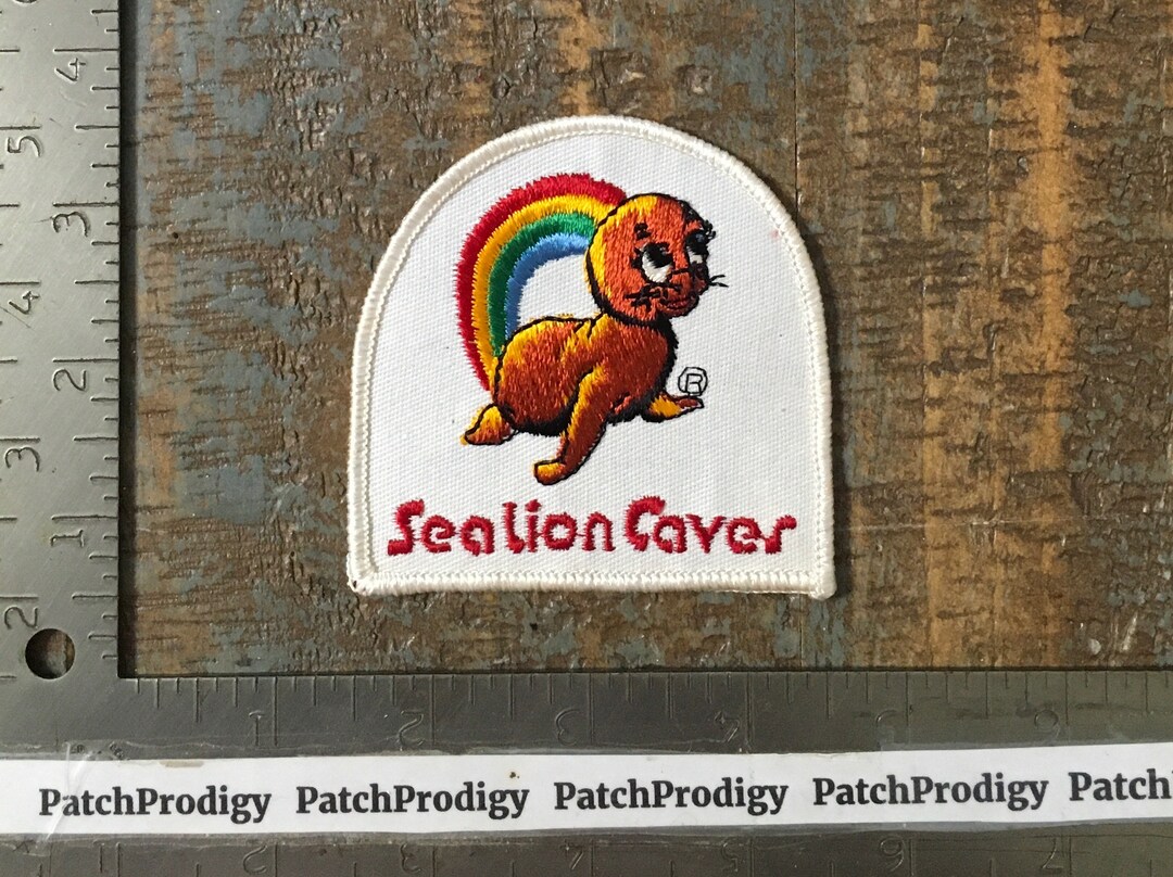 Vintage SEA LION CAVES Oregon Coast Rainbow Baby Sea Lion Travel ...