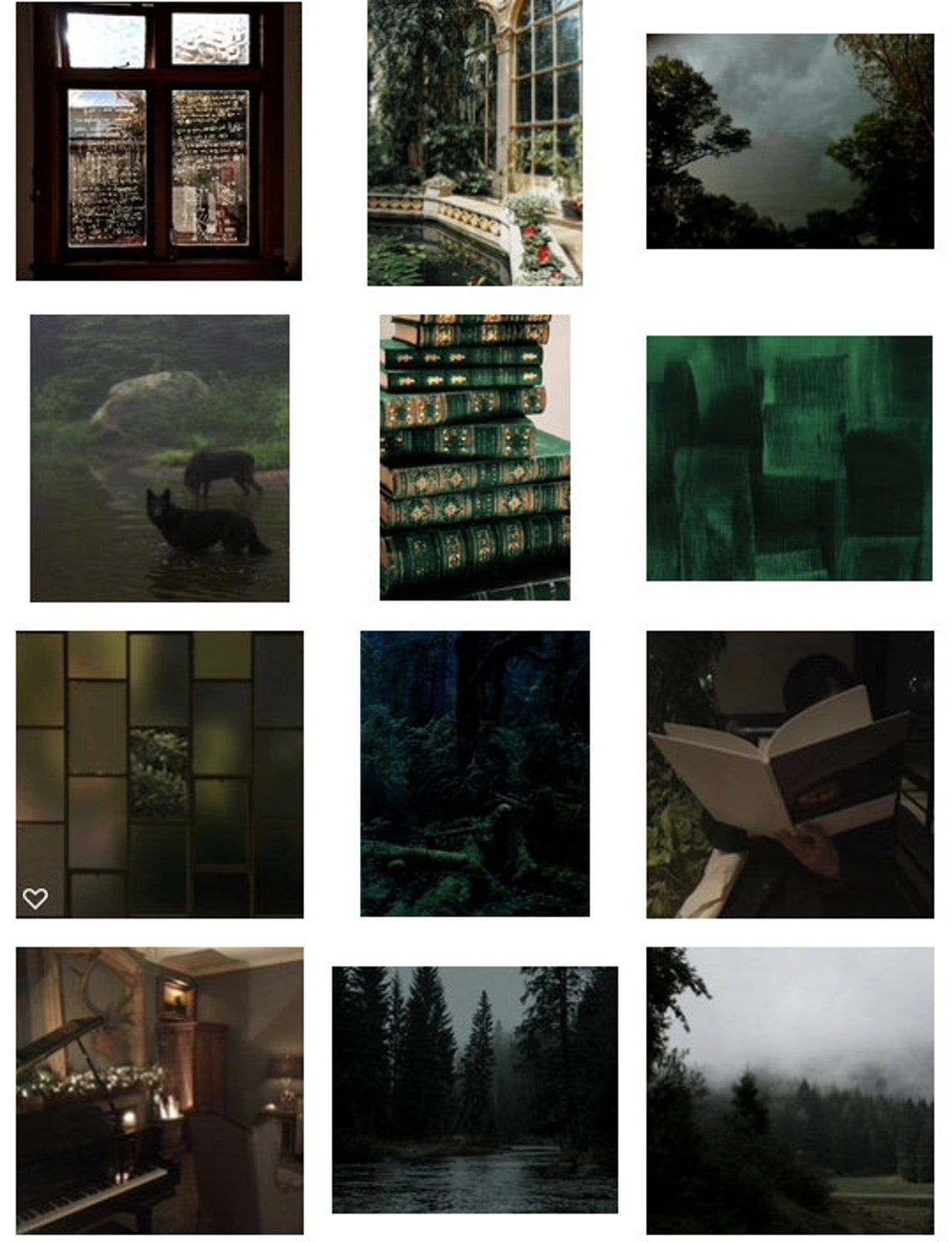70 PCS Green Dark Academia Wall Collage Kit forestcore - Etsy
