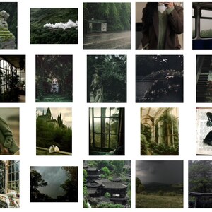 70 PCS | Green Dark Academia Wall Collage Kit |forestcore Aesthetic ...