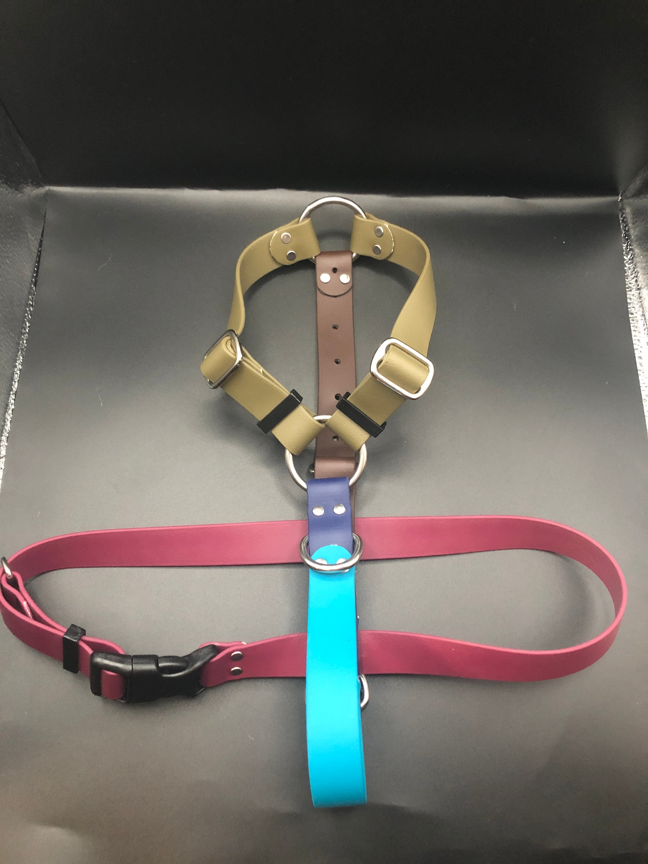 Biothane 1-strap Dog Harness - Etsy