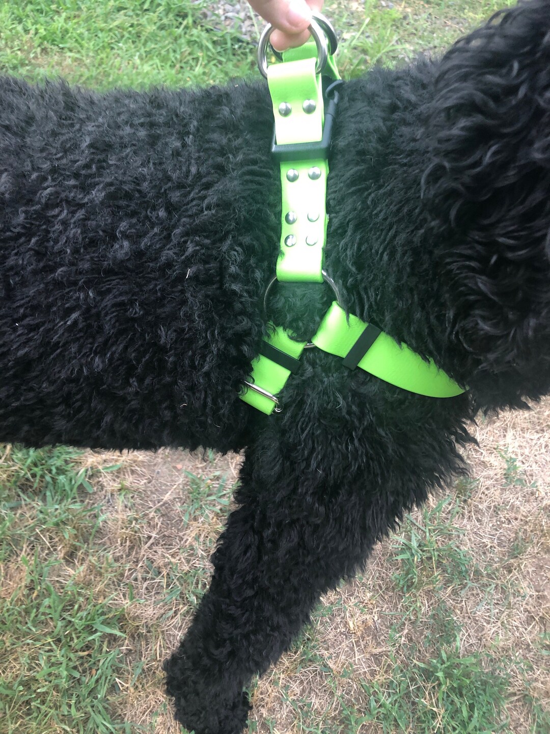 Biothane Step-in Harness - Etsy