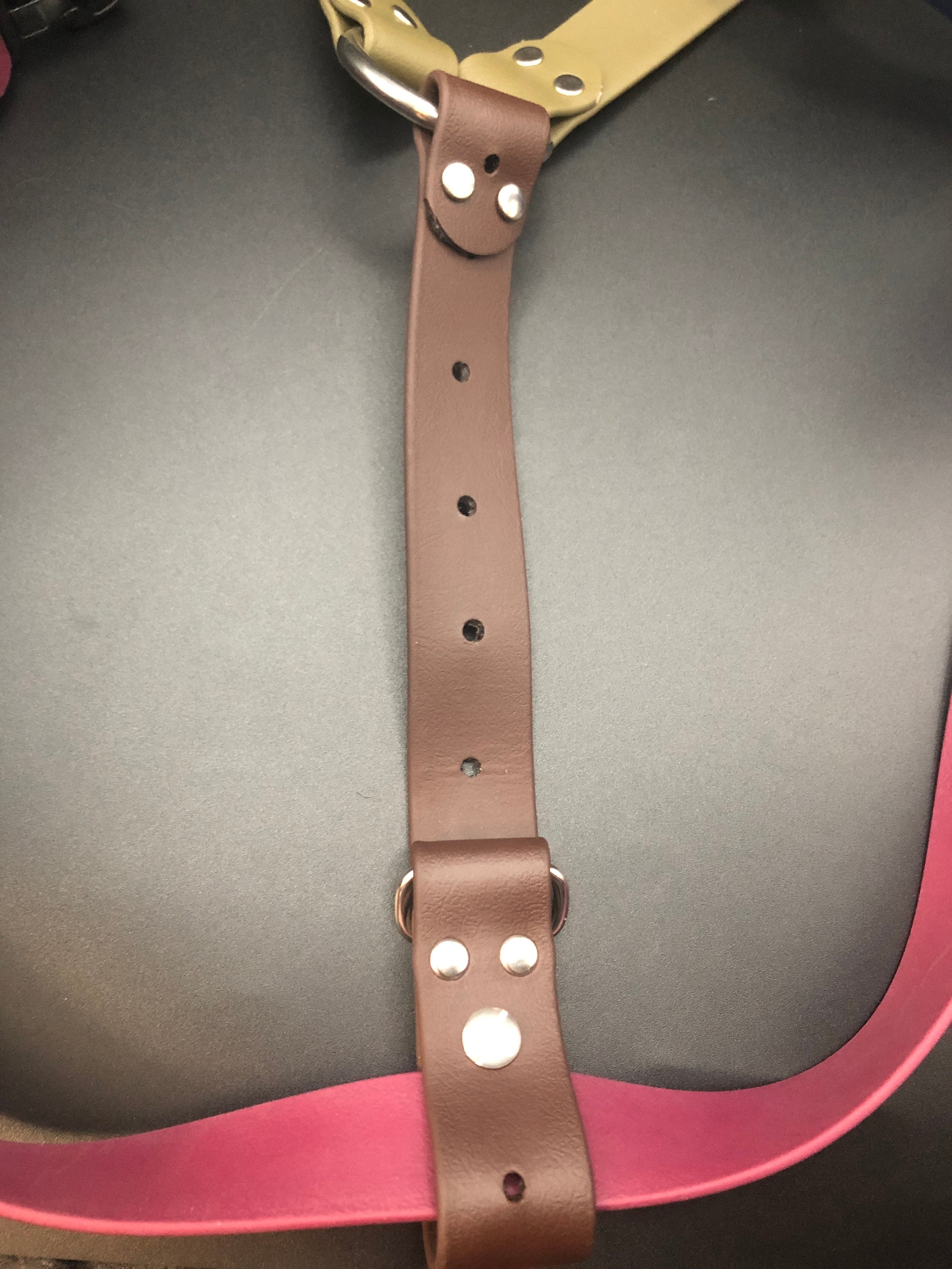 Biothane 1-strap Dog Harness - Etsy