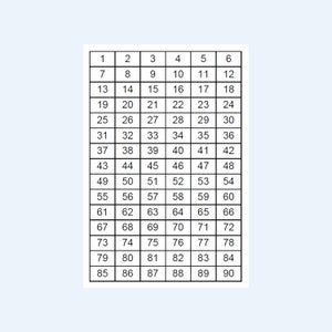 Tambola Tickets – 1 to 90 Printable Tambola Bingo Cards – 500 Pages ...