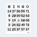 Bingo Cards - Printable Bingo Cards 2 per Page – 500 Pages / 1000 Cards ...