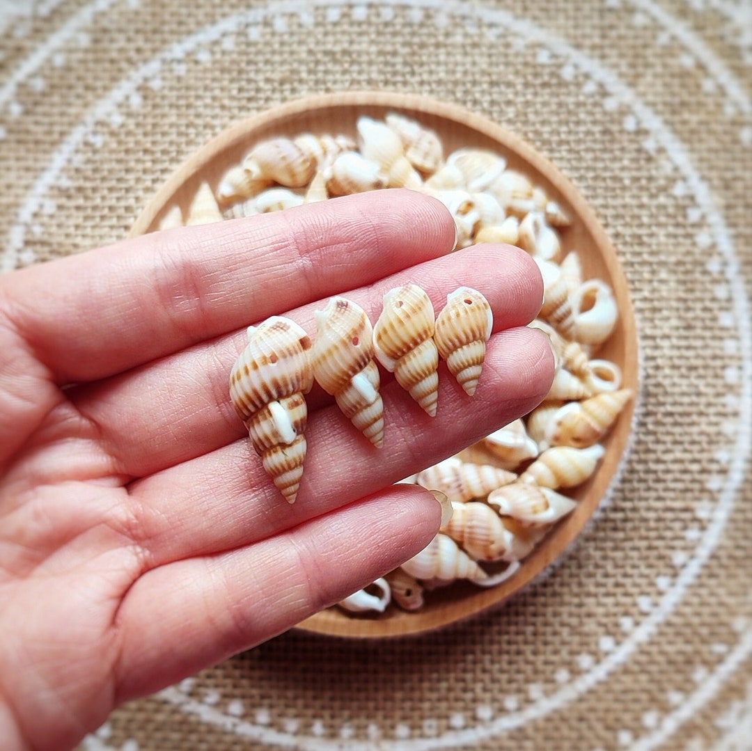 Natural Seashell for Macrame Jewelry Making, Ocean Shells, Seashells ...