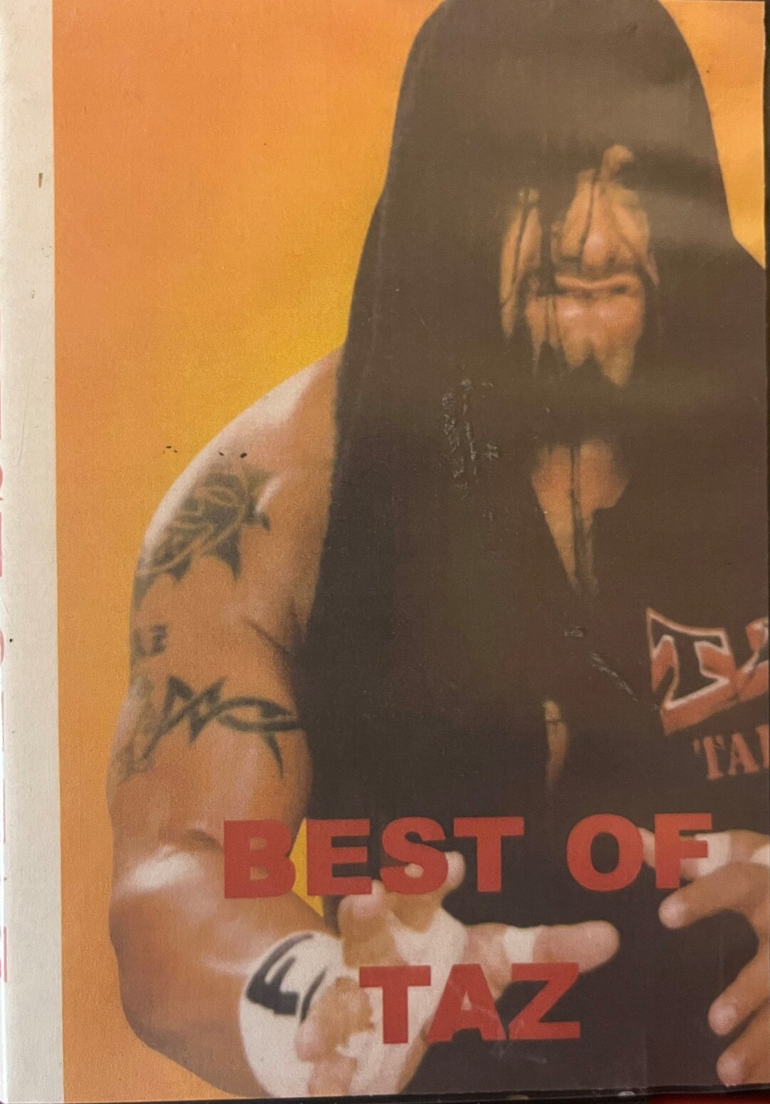 Best of TAZZ Volume 1 Wrestling Dvd - Etsy