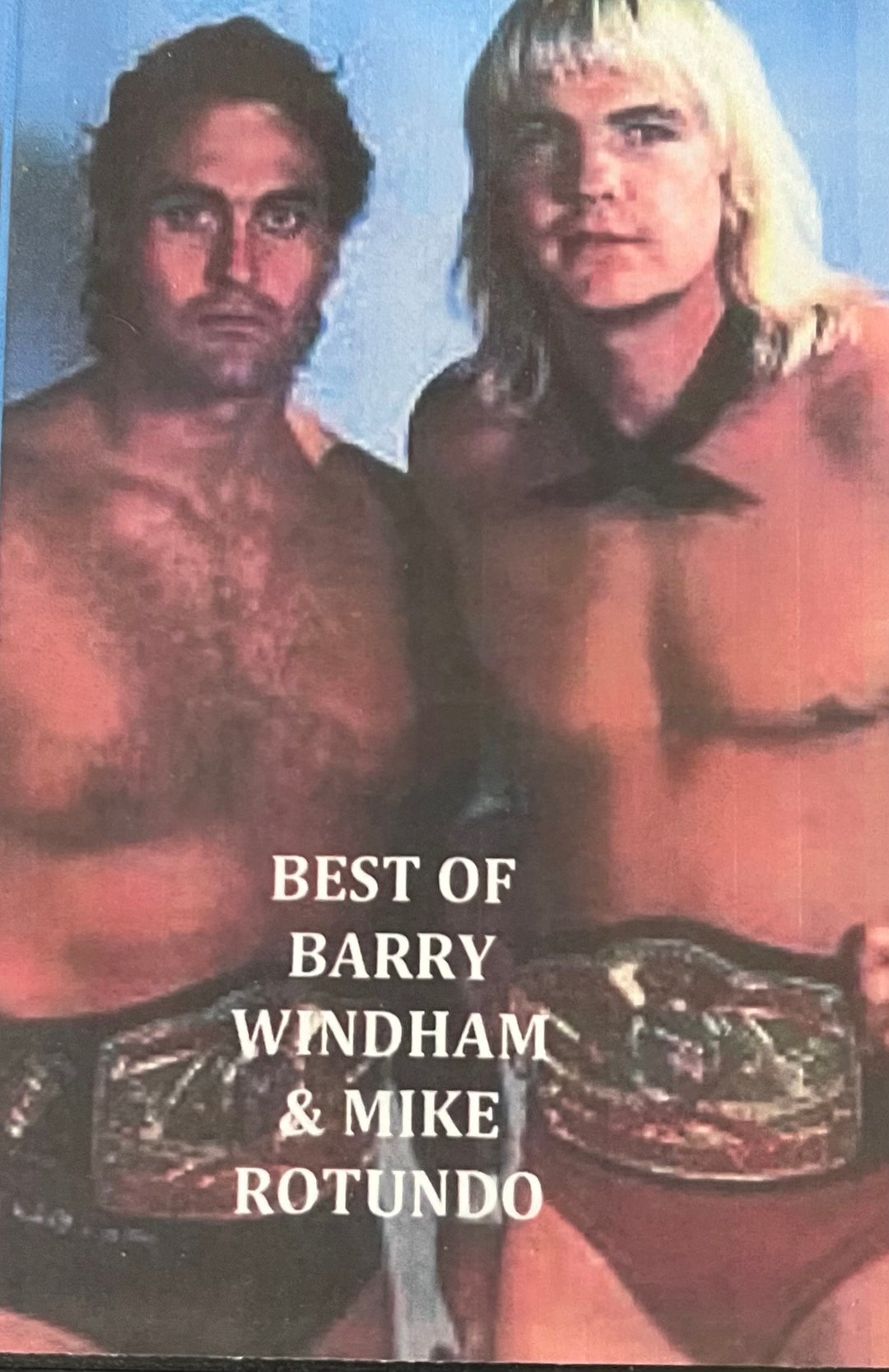 Best of Barry Windham and Mike Rotundo Wrestling Dvd - Etsy Best of Barry Windham and Mike Rotundo Wrestling Dvd - Etsy