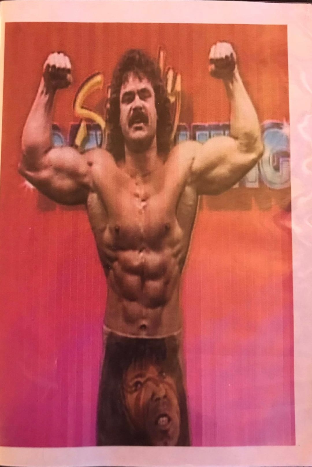 Ravishing Rick Rude Wrestling Dvd Vol. 4 Free Shipping - Etsy