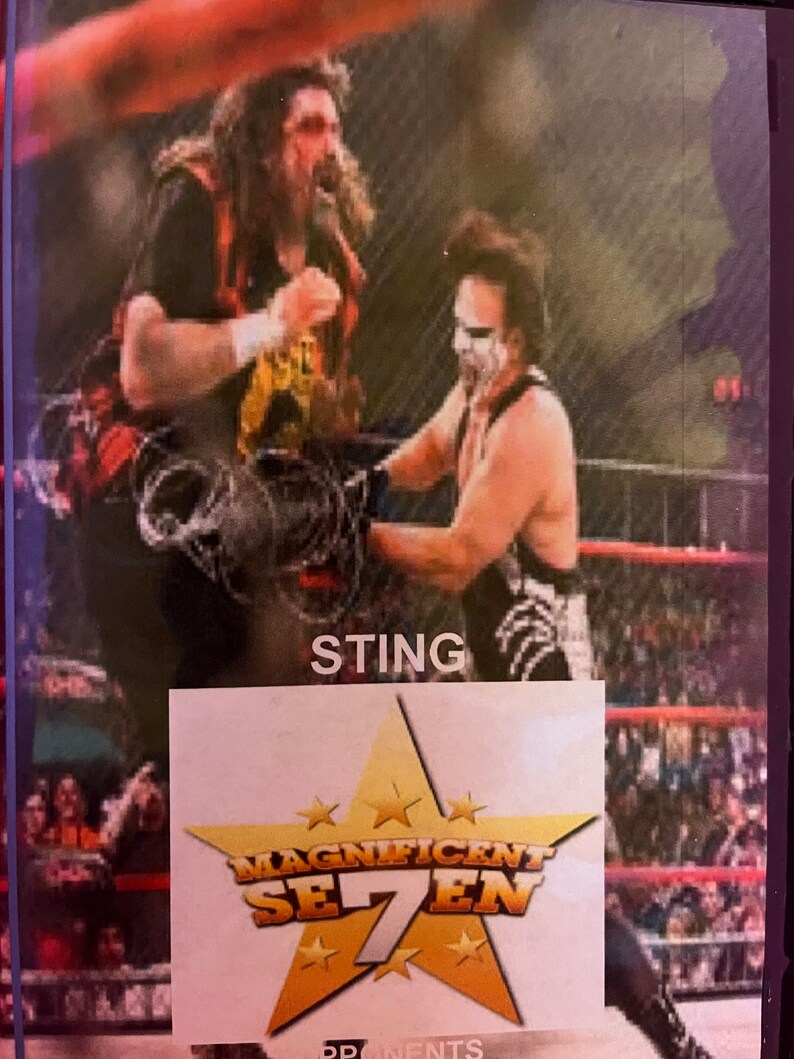Sting Magnificent 7 Opponents Wrestling Dvd - Etsy