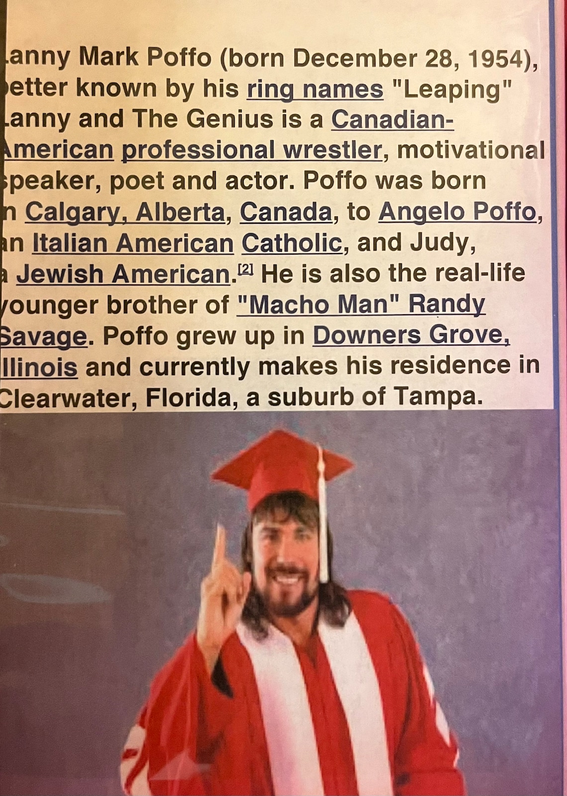 Best of Leaping Lanny Poffo Wrestling Dvd - Etsy