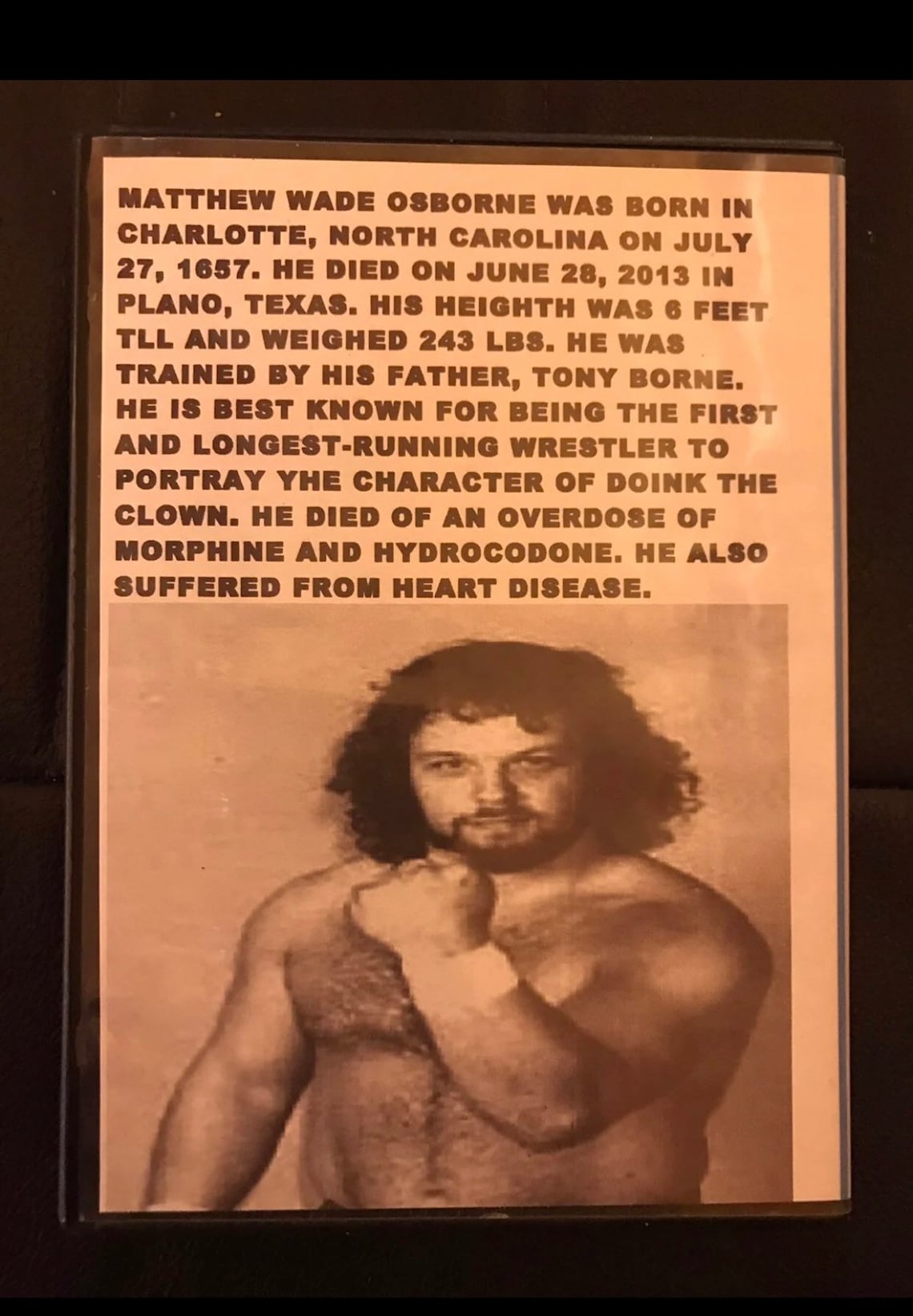 Best of Maniac Matt Borne Wrestling Dvd FREE SHIPPING - Etsy