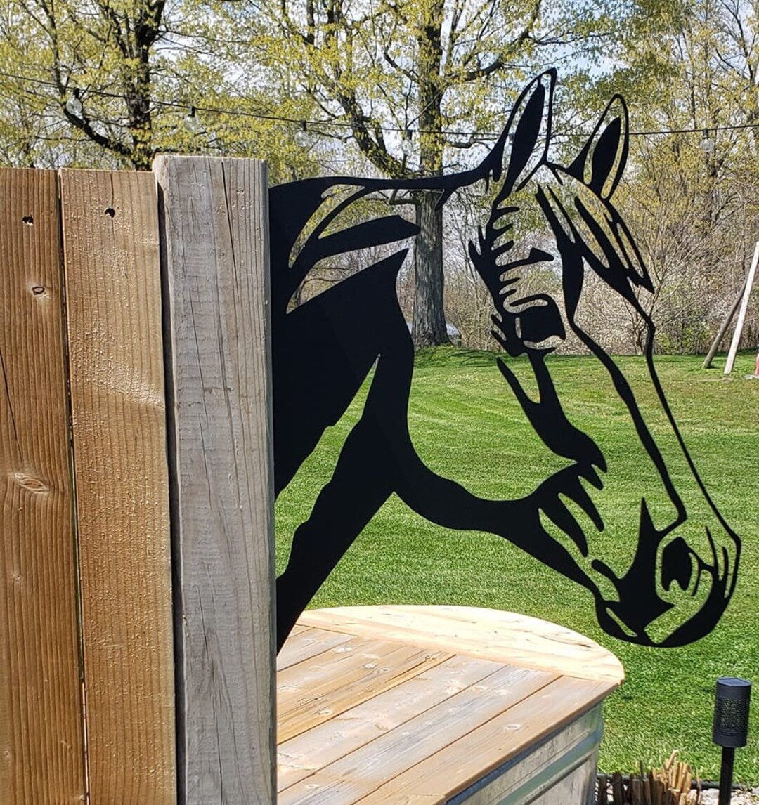 Peek A Boo Horse, Metal Art Work, Signs, Powder Coated Black, 14ga ...
