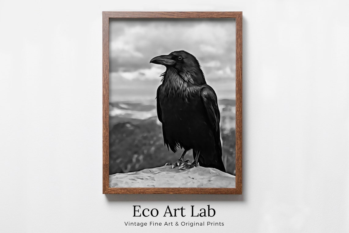 Raven Sitting on Rock Printable Digital Bird Painting. Instant - Etsy